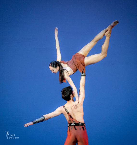 La danse - Apprendre tout sur la dance